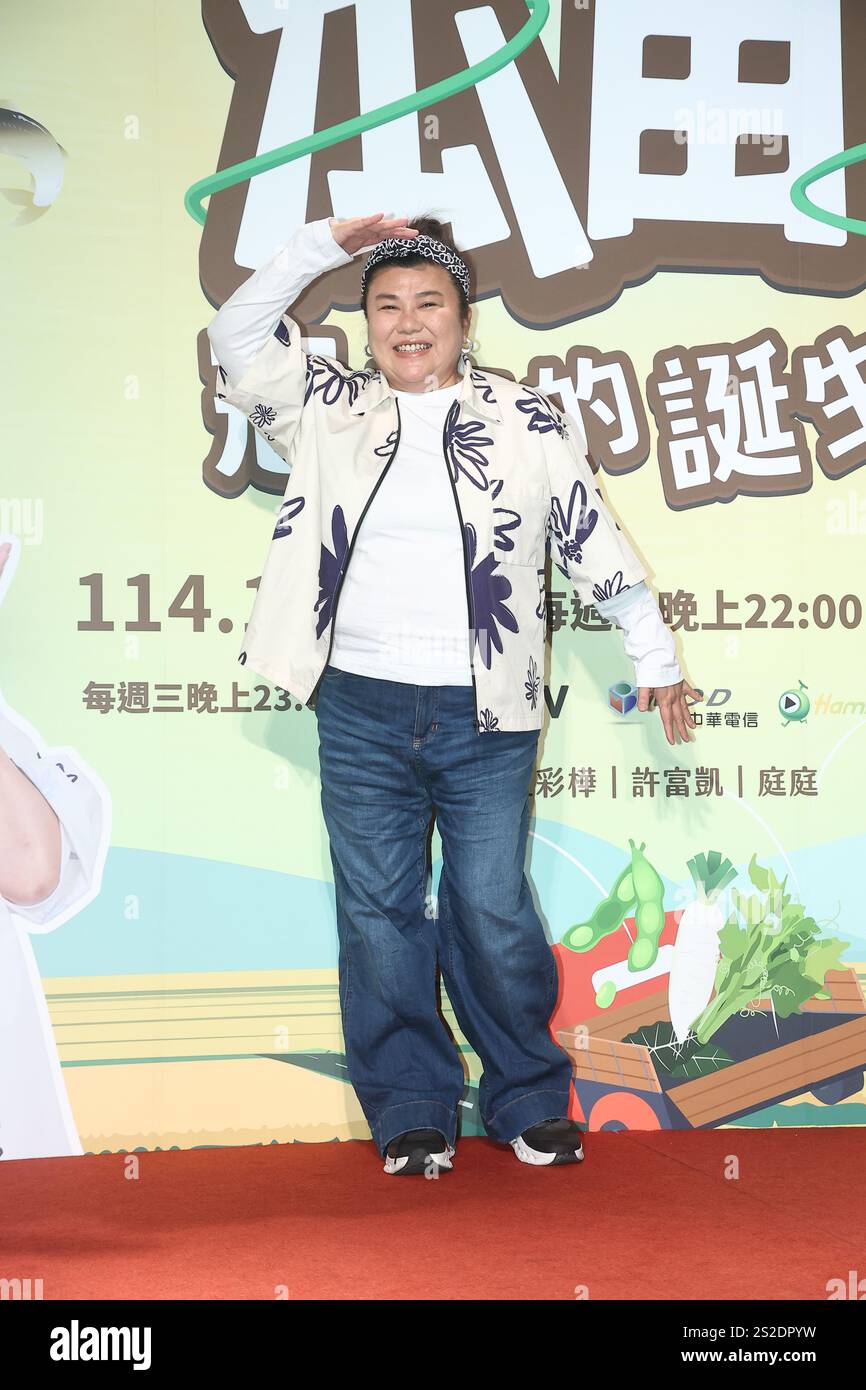 TAIPEI, CHINA - JANUARY 7, 2025 - Taiwanese actress Mei hsiu Lin ...