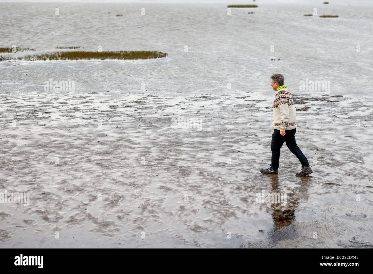 07 January 2025, Schleswig-Holstein, Reußenköge: Robert Habeck ...