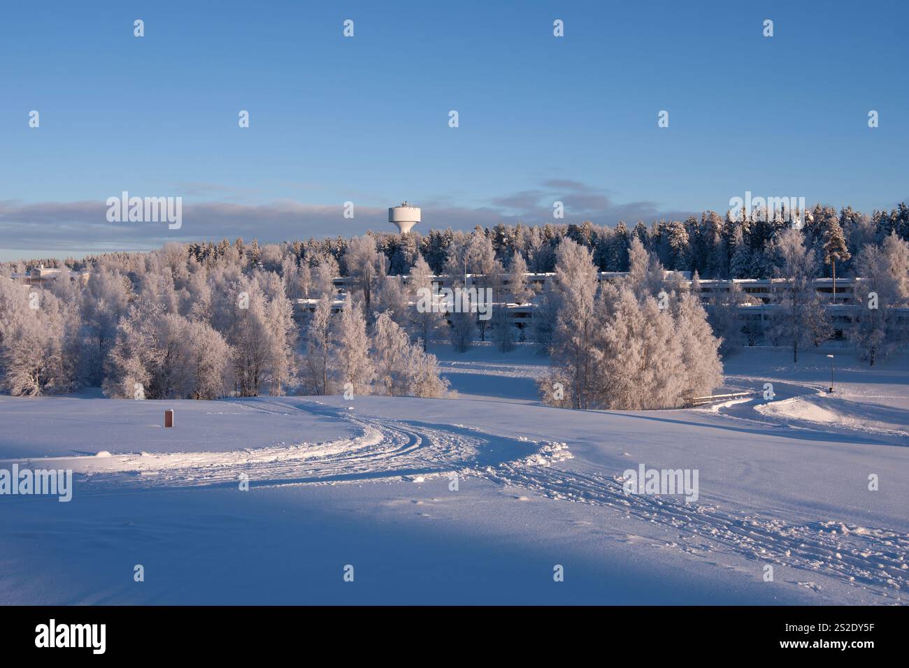 Midwinter, and snowy meadows with white frosty trees. Park, recreation ...