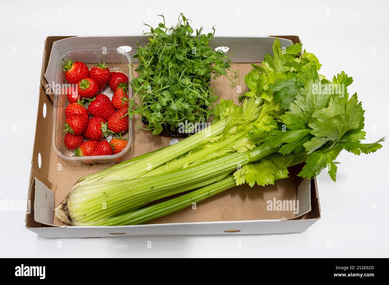 Box foods hi-res stock photography and images - Alamy