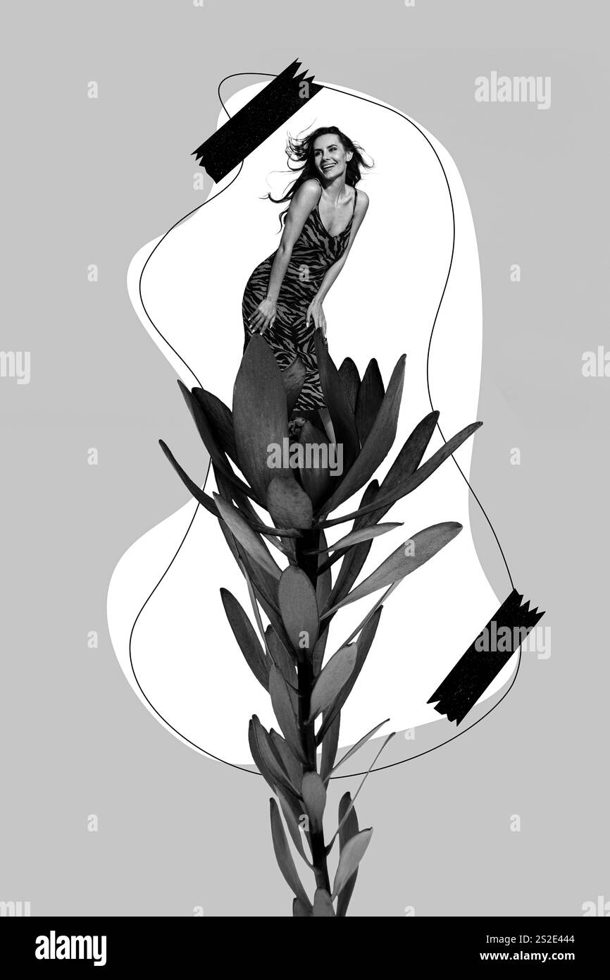 Vertical creative photo collage illustration of fancy nice gorgeous ...