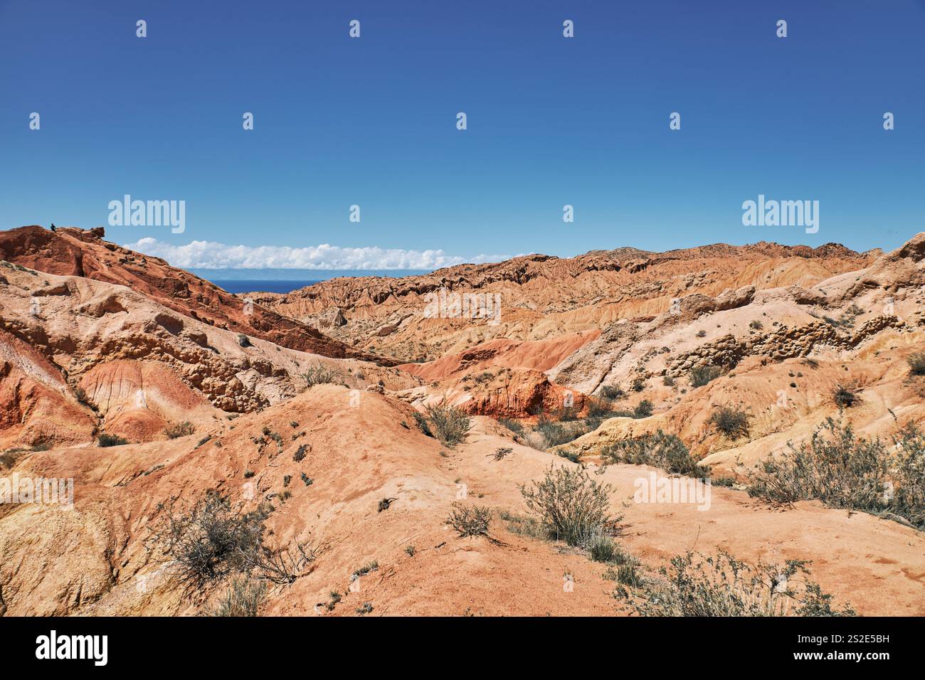 Striking landscape features expansive hills with vibrant hues of red ...