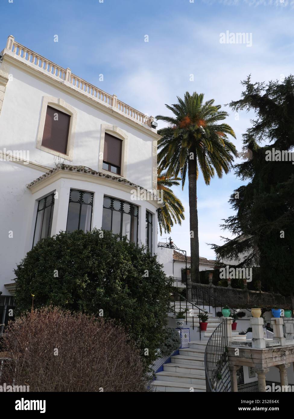 Staircase with palm tree in the garden of today's Casa Don Bosco museum ...