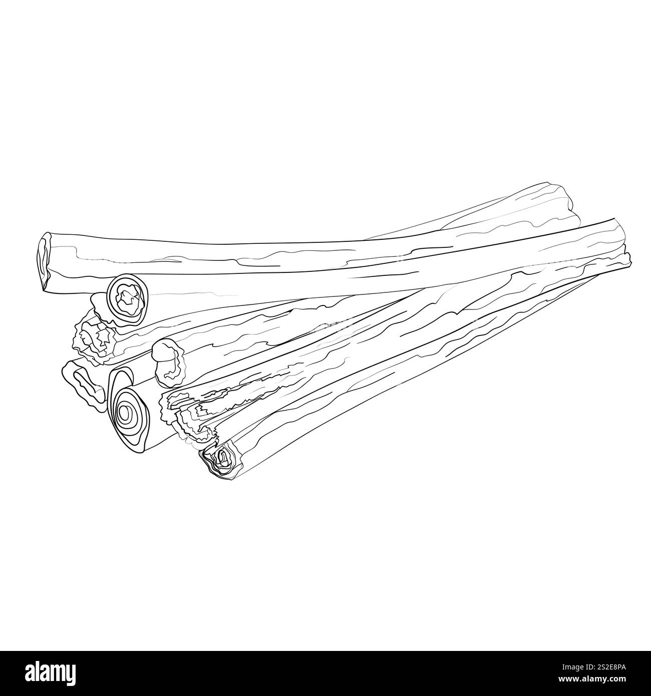 Cinnamon. A base note in perfumery. Plant aromatic oil used to make ...