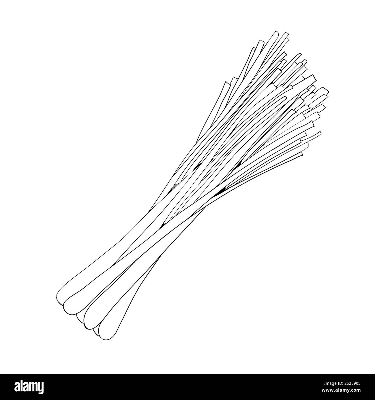 Lemongrass. A middle note in perfumery. Plant aromatic oil used to make ...