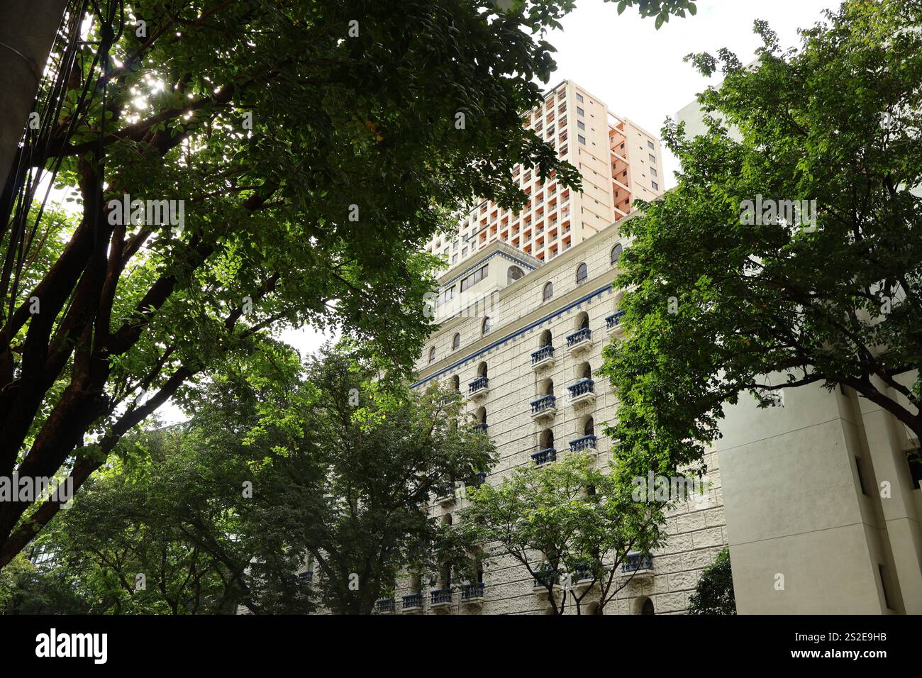 City buildings trees on pretty hi-res stock photography and images - Alamy