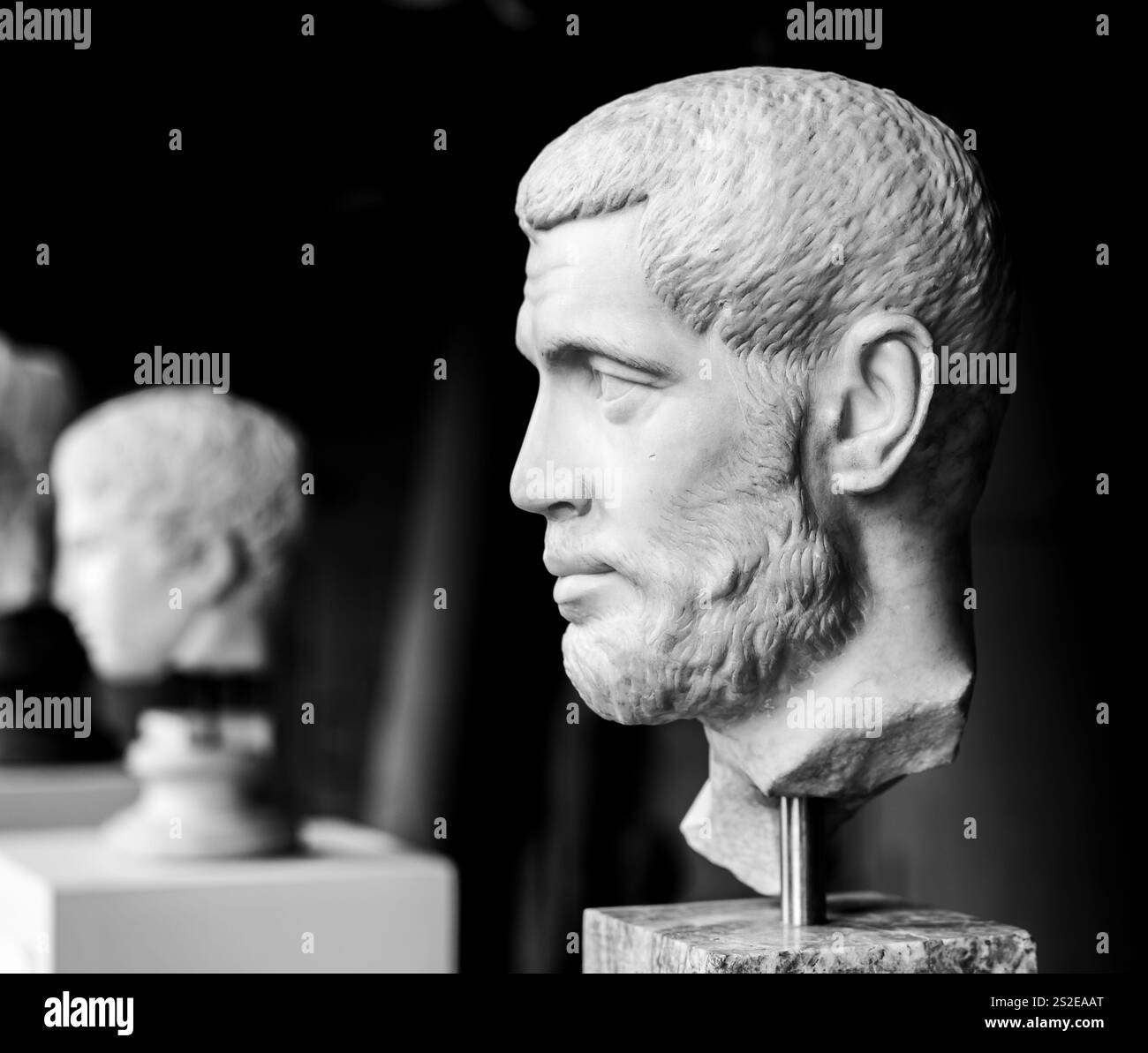 Black and white photo of male head profile sculpted in marble exhibited ...