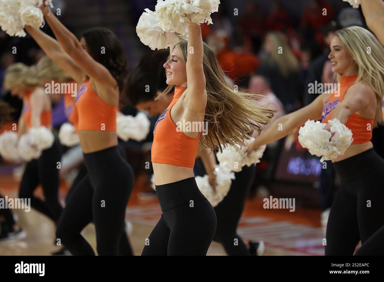 CLEMSON, SC - JANUARY 04: Clemson Rally Cats perform during a college ...