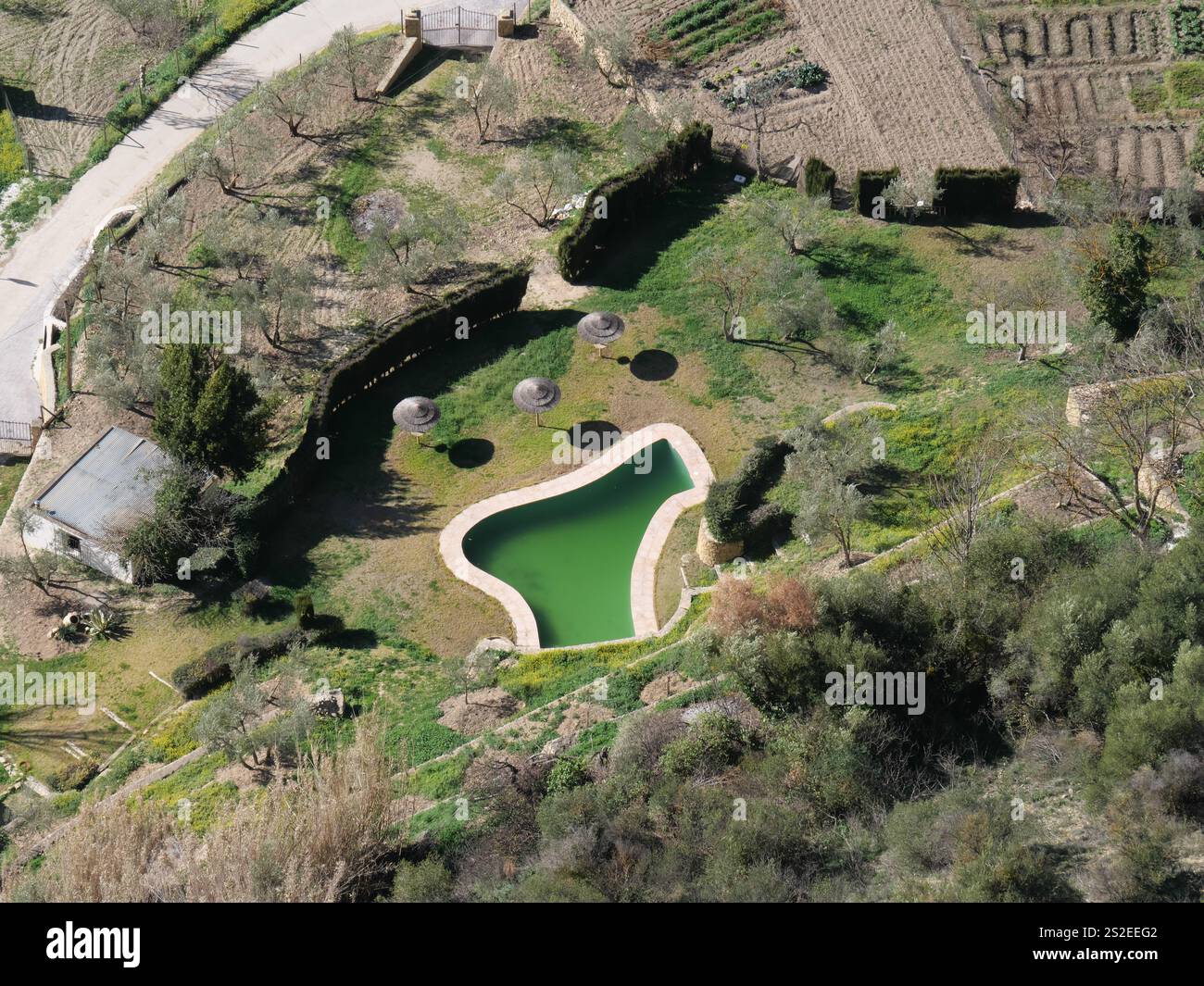 Fantastic view from above of a green swimming pool with palm parasols ...