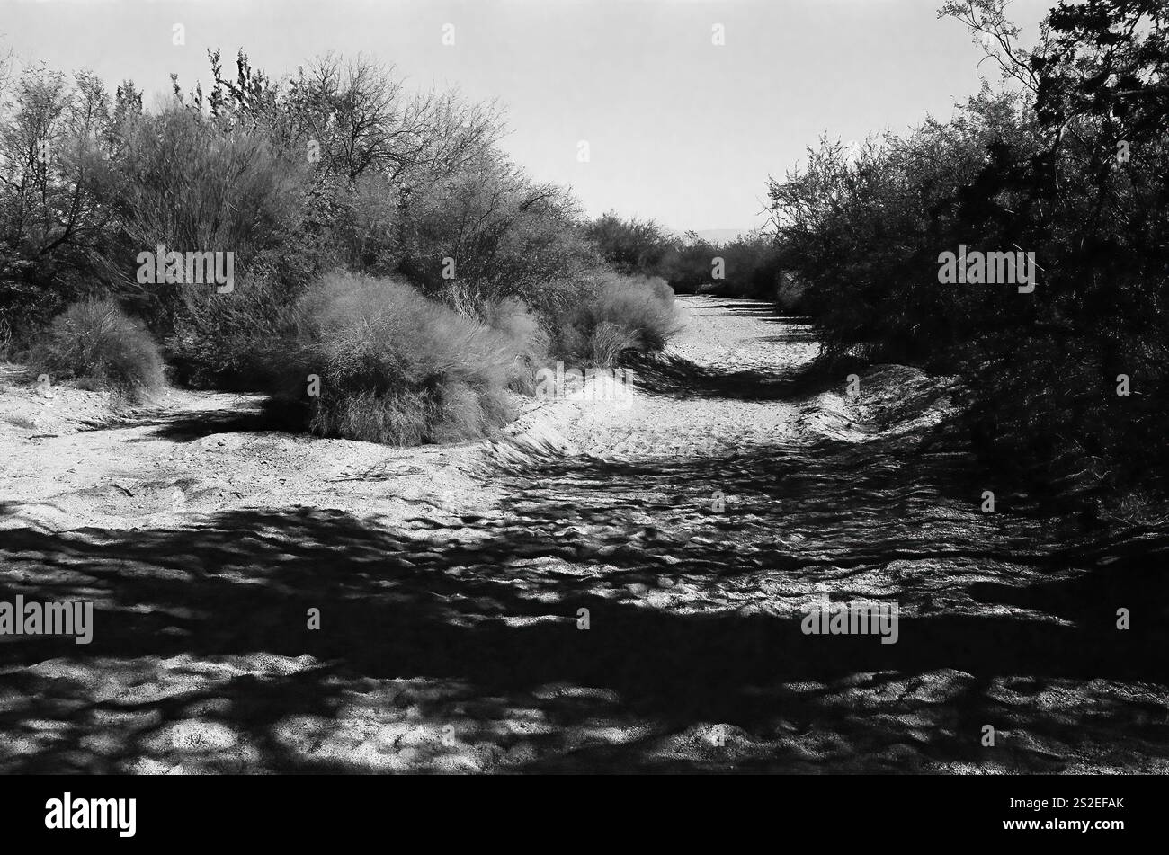Film image of Arizona arroyo dry stream bed that provides a temporary ...