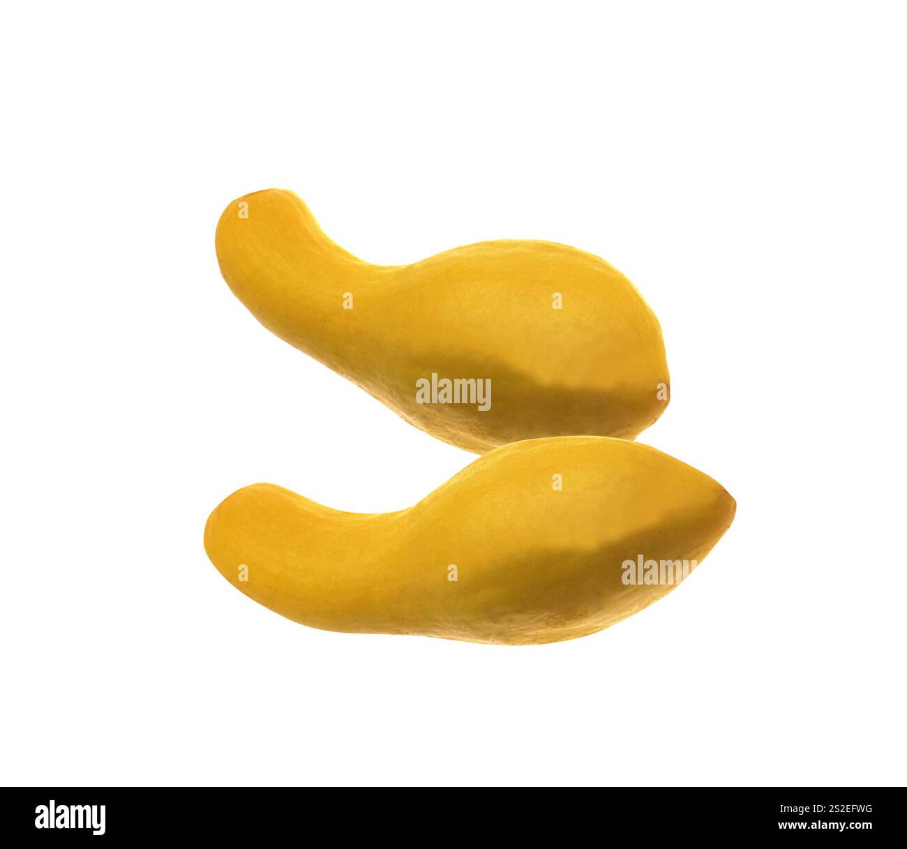 butternut squashes on white background Stock Photo - Alamy