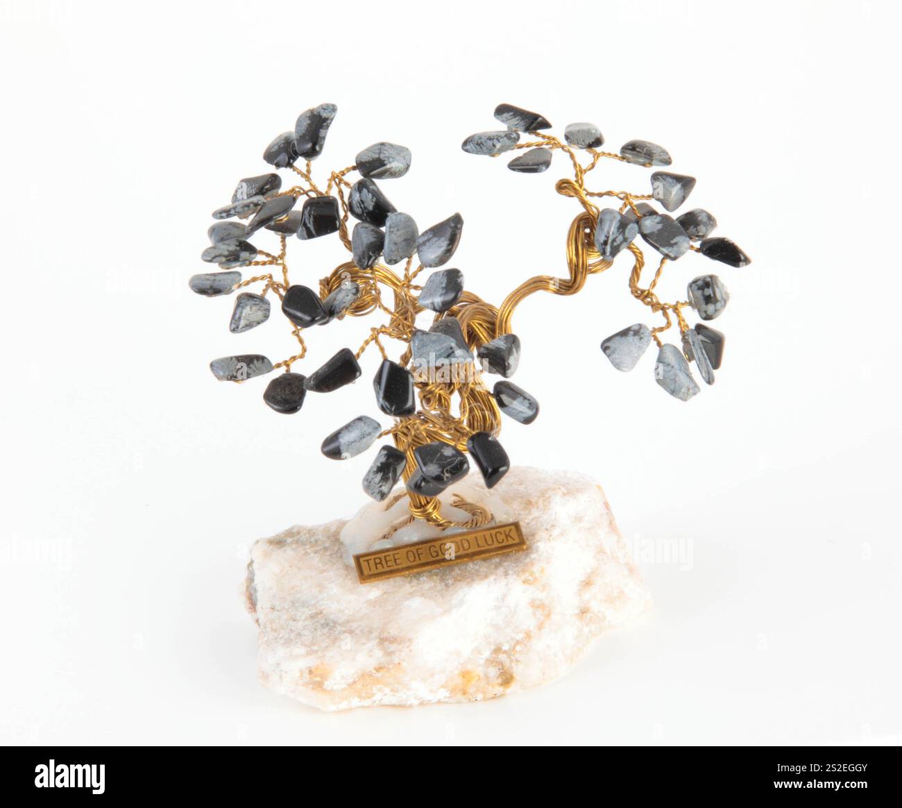 Tree of happiness isolated on white background Stock Photo - Alamy