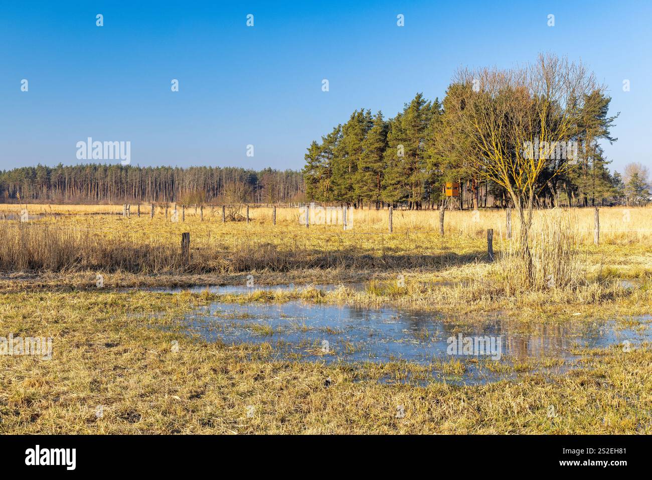 The Janovsky mokrad, landscape view of wetland in Pilsen region, Czech ...