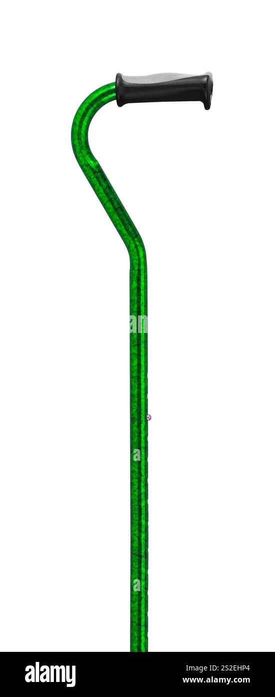 green walking stick under thew white background Stock Photo - Alamy