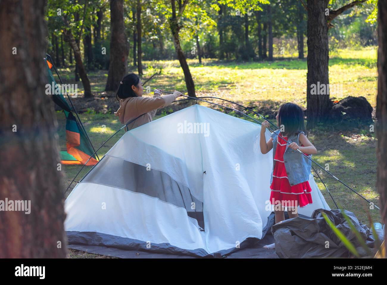 Mother and daughter are helping each other set up a tent in nature on a ...
