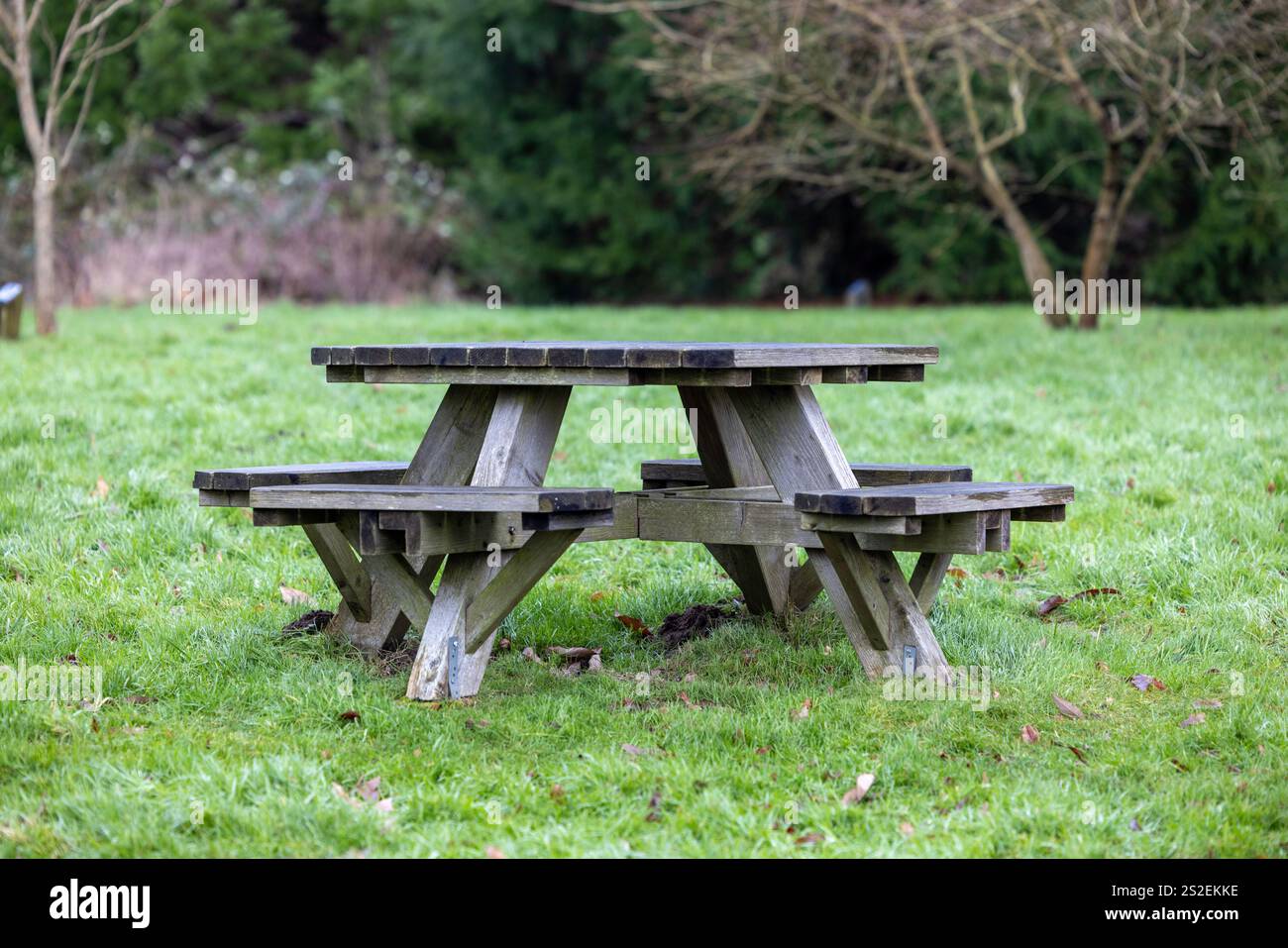 Country park seat Stock Photo - Alamy