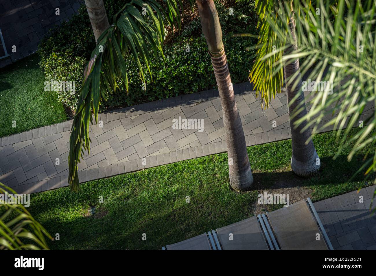 Aerial view of tropical garden with palm trees and pathway, Florida USA ...