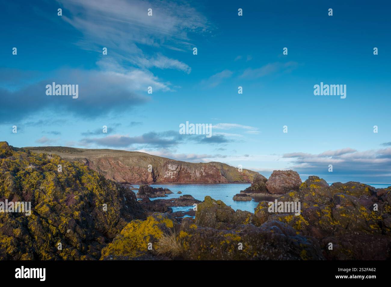 St Abbs Head, Eyemouth Stock Photo Stock Photo - Alamy