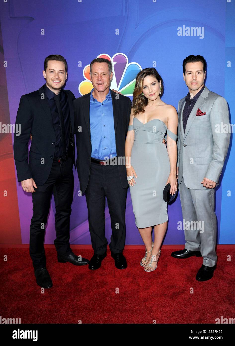 Jesse Lee Soffer, Jason Beghe, Sophia Bush and Jon Seda at the 2014 NBC ...