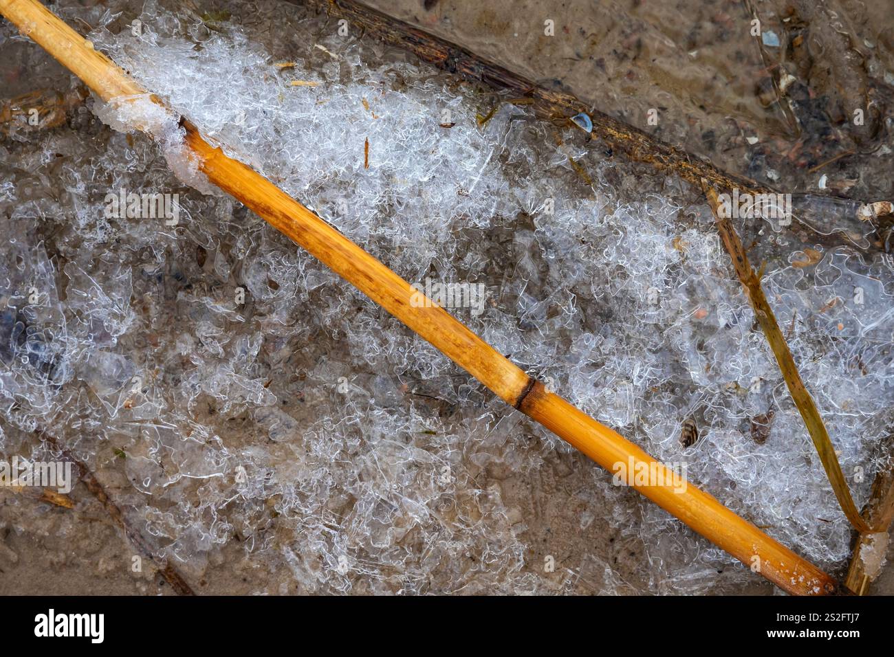 Natural phenomenon elements hi-res stock photography and images - Alamy