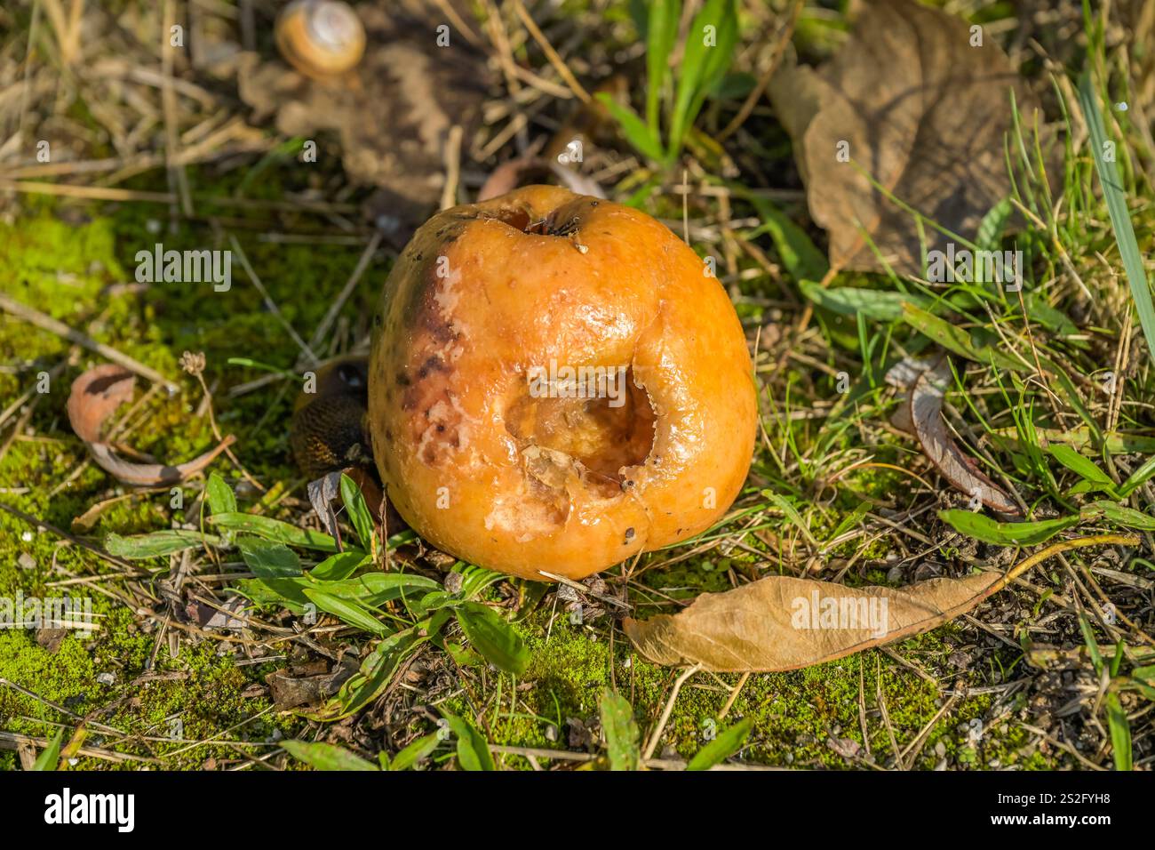 Gammeliger hi-res stock photography and images - Alamy