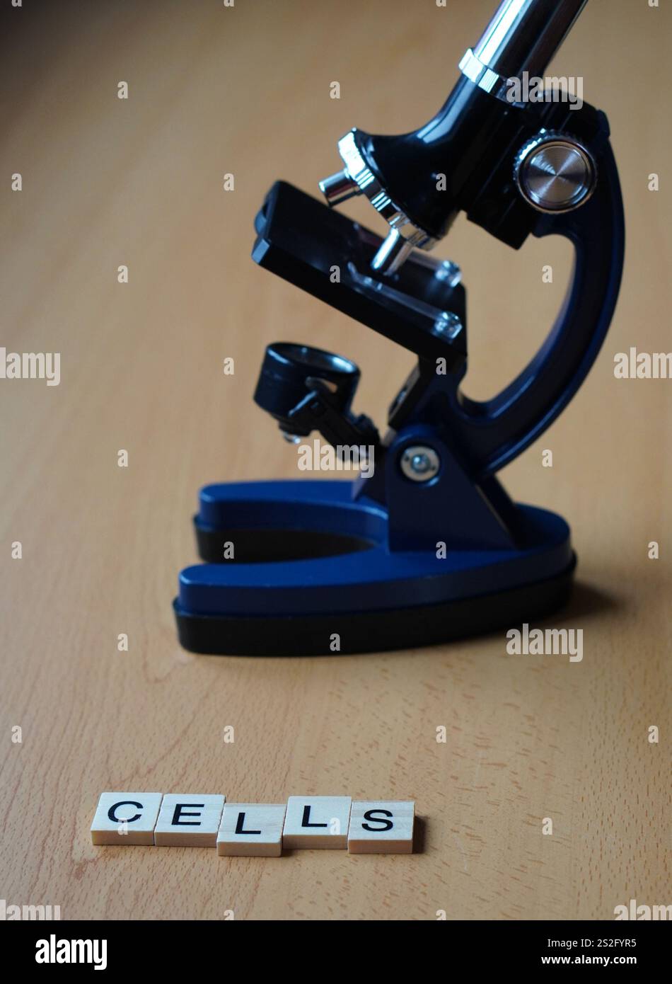 CELLS concept, research. wooden letters with a microscope on the table ...