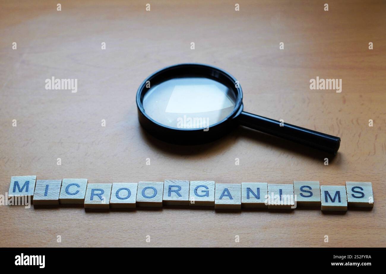 MICROORGANISMS concept. wooden letters with a magnifying glass on the ...
