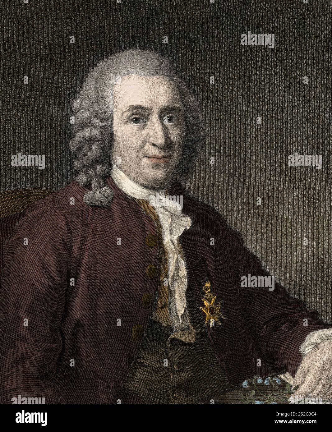 Linneo hi-res stock photography and images - Alamy