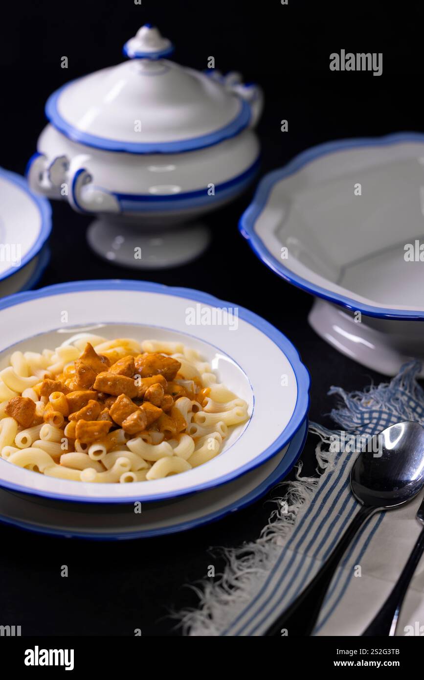 Traditional czech dish, chicken with paprika creamy sauce with pasta ...
