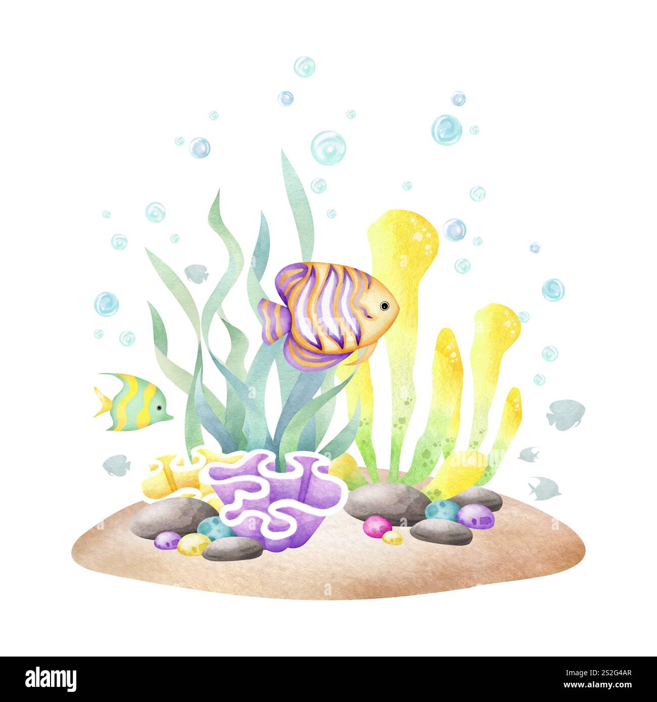 Seabed with fish, seaweed, coral, pebbles, stones, bubbles watercolor ...
