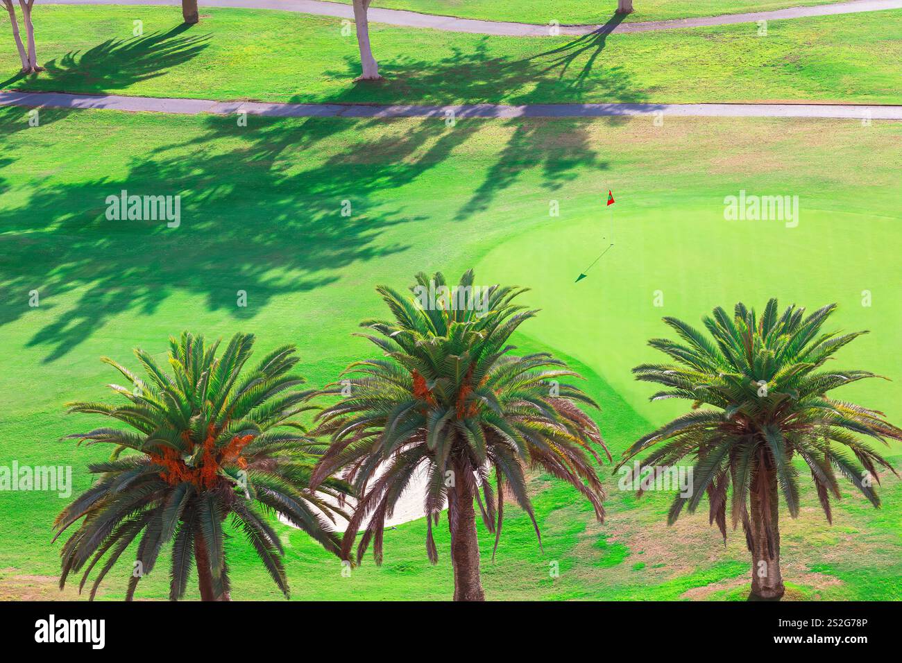 Lush golf course with vibrant green grass, palm trees, and a well-manicured putting green. Scene ...