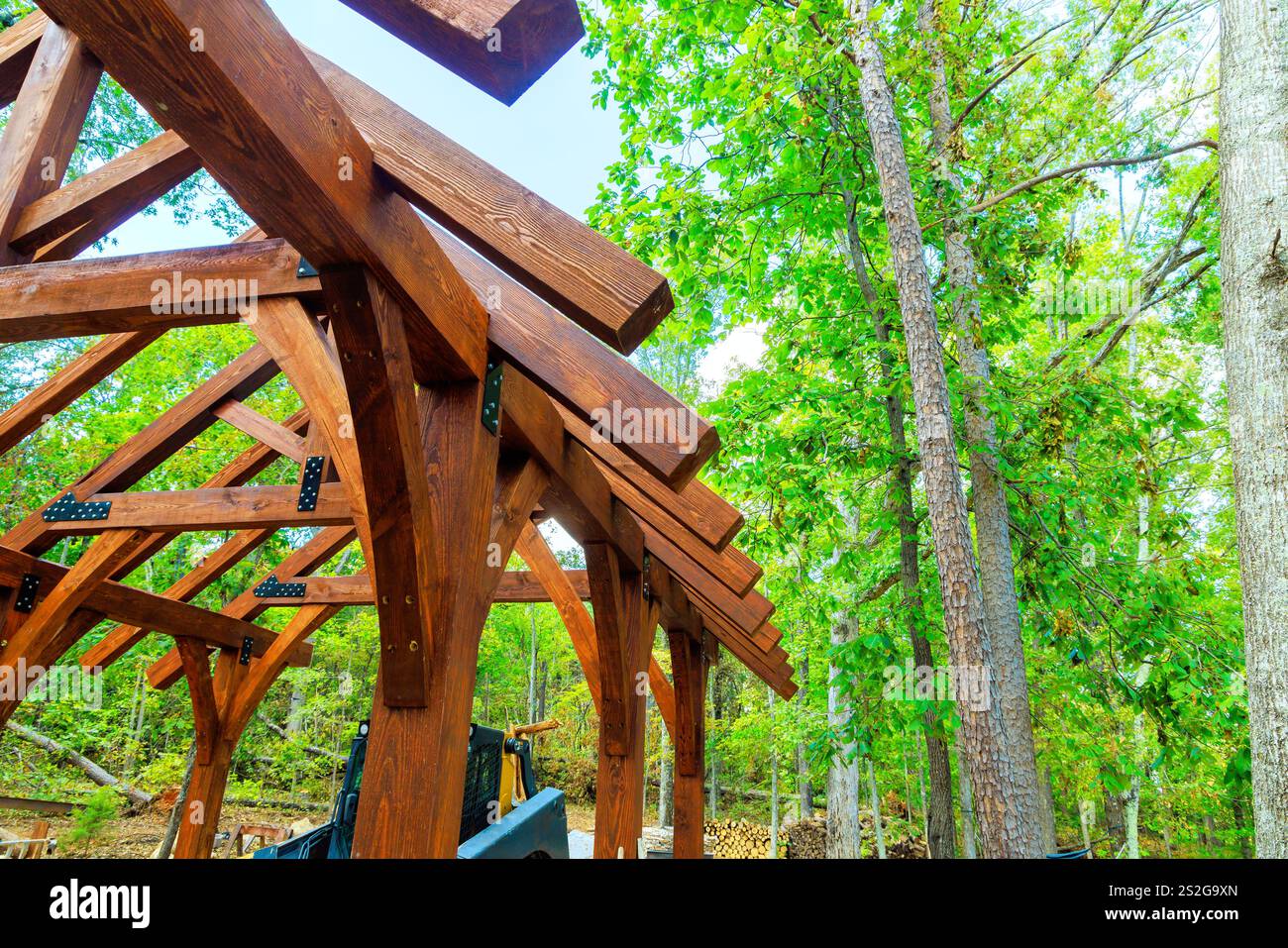Wooden structure is being built amid tall trees, greenery, showcasing ...