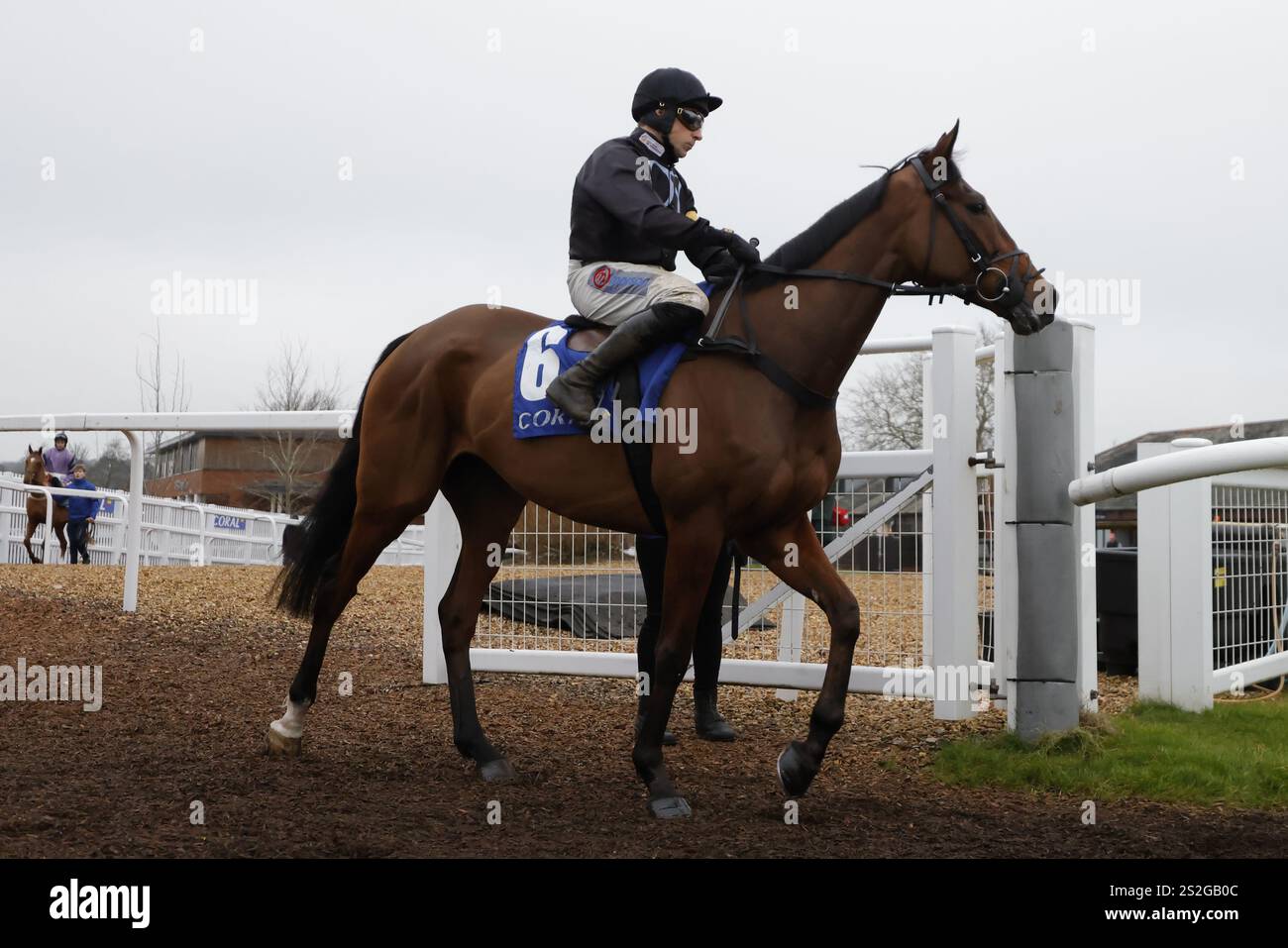 File photo dated 28-12-2024 of The New Lion, whose first run in the ...