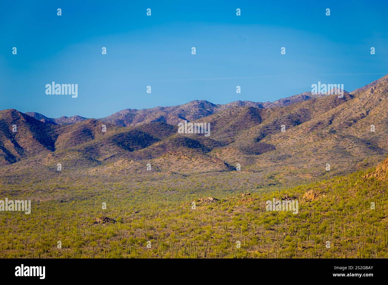 A vast expanse of desert landscape stretches under a clear blue sky ...