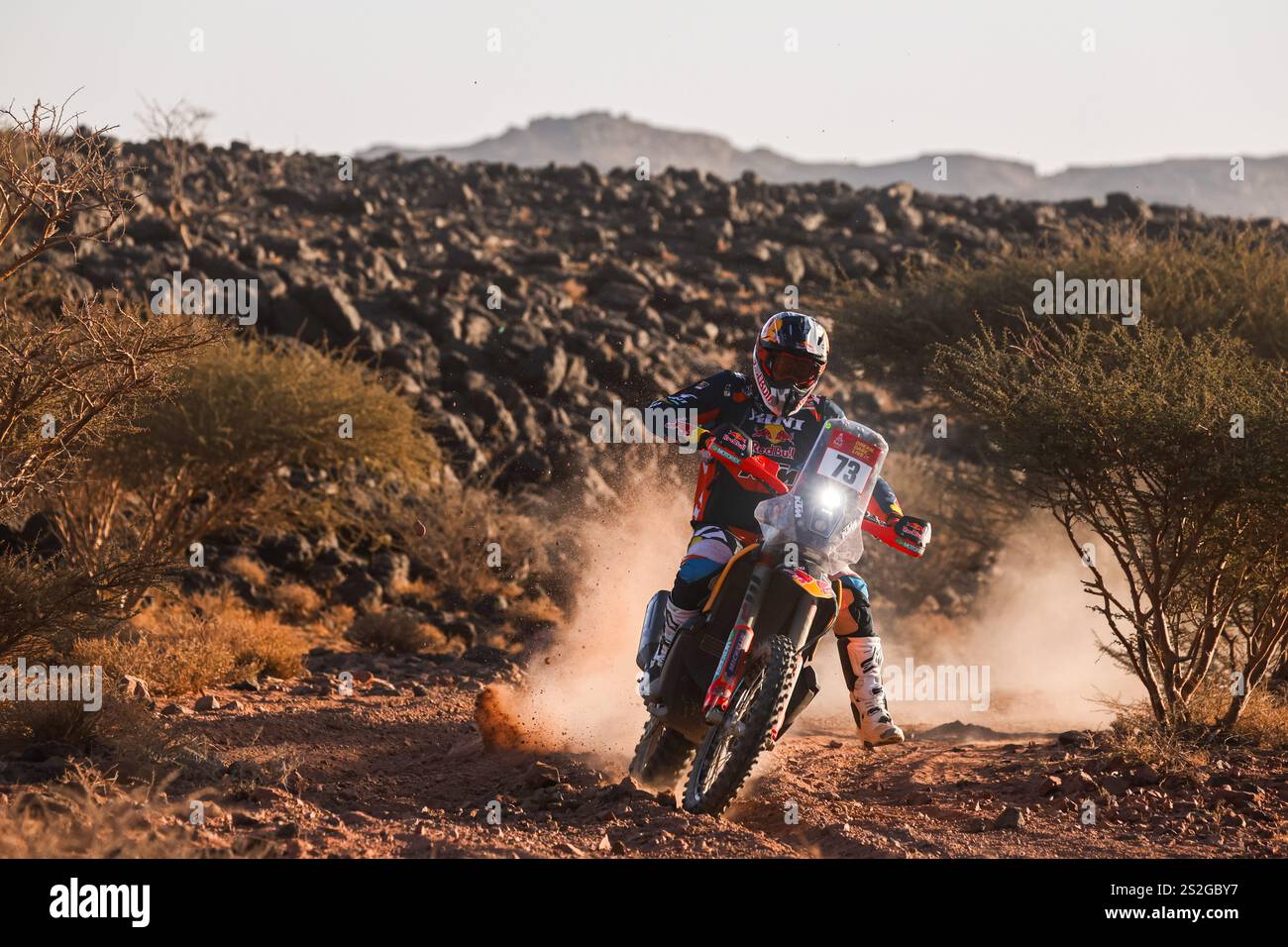 73 CANET Edgar (spa), KTM, Bas World KTM Racing Team, FIM W2RC, Rally2, action during the Stage ...
