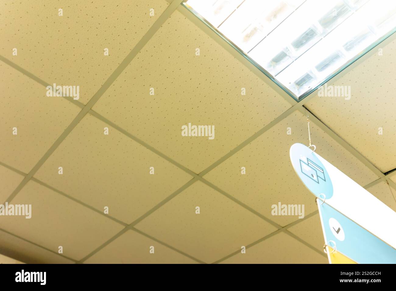 The ceiling features grid tiles with a skylight allowing natural light ...