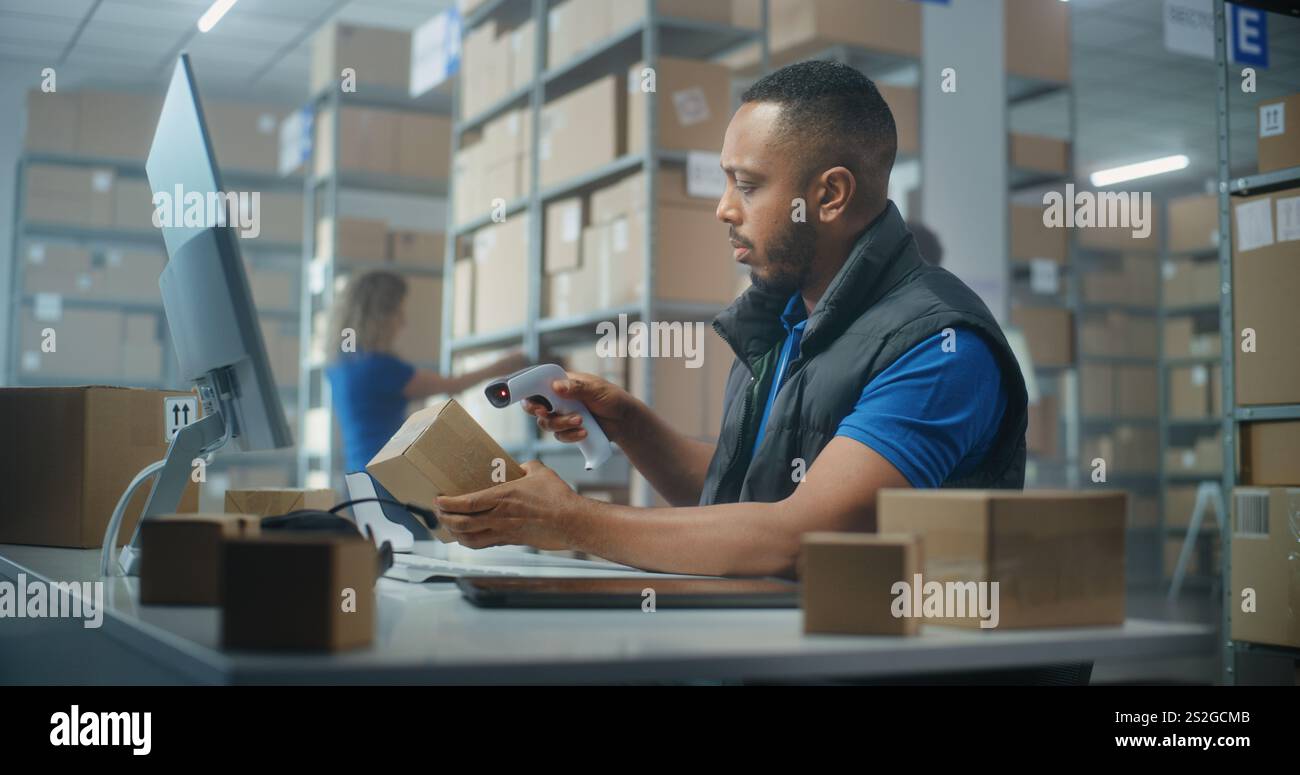 African American post office employee scans cardboard parcel using barcode scanner, works on ...