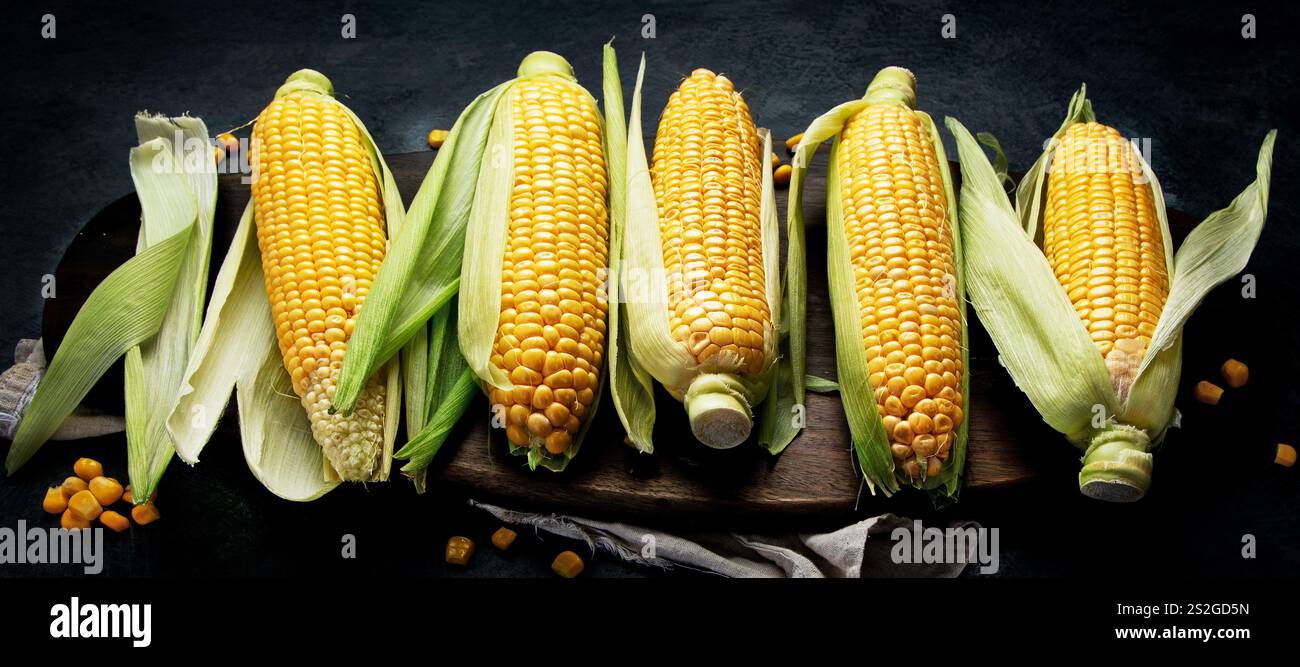 Raw corn or maize on dark background. Harvest food concept Stock Photo ...