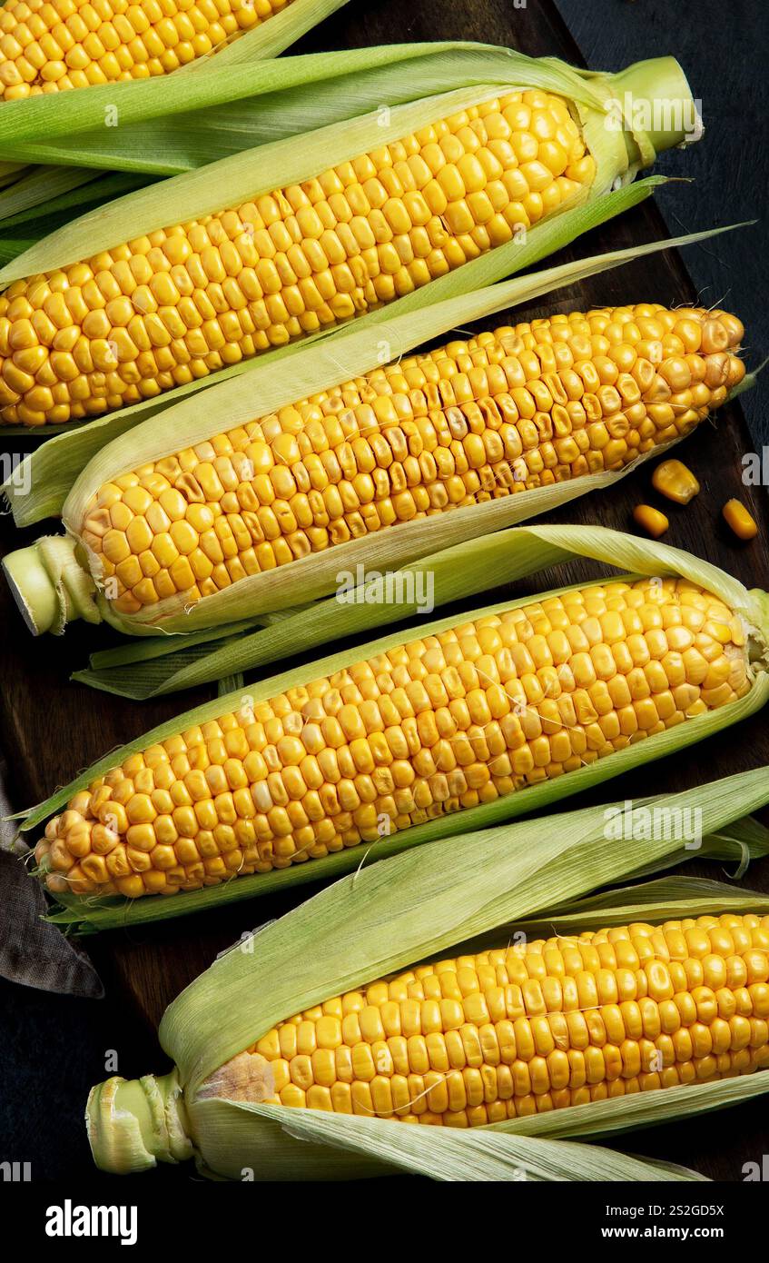 Raw corn or maize on dark background. Harvest food concept. Top view ...