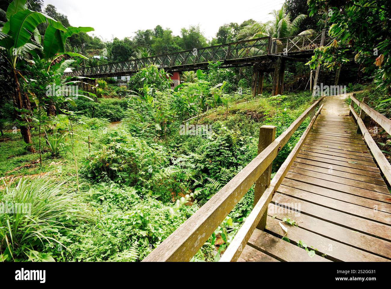 Annah Rais, bidayuh village, Borneo, Malaysia Stock Photo - Alamy