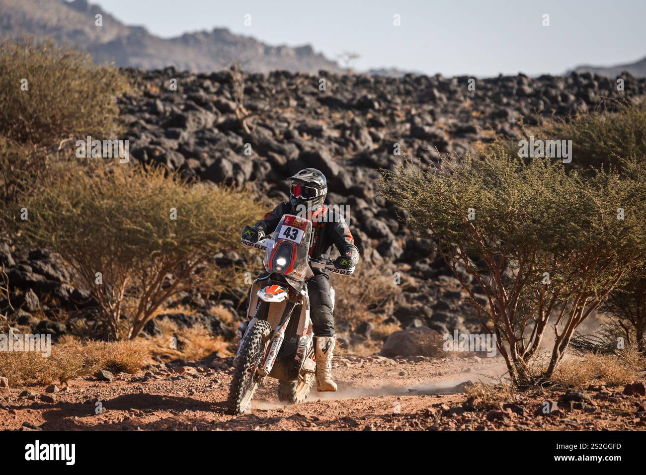 43 DALBEC Julien (fra), KTM, Nomade Racing, FIM W2RC, Rally2, action during the Stage 3 of the ...