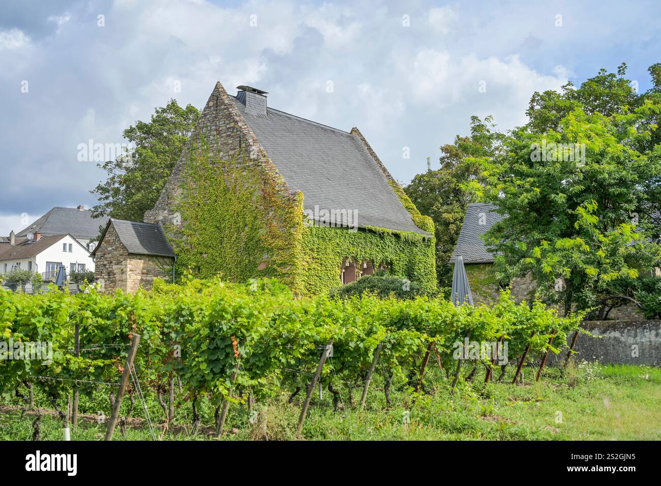 Graues Haus, ältestes Steinhaus in Deutschland, Graugasse, Oestrich ...