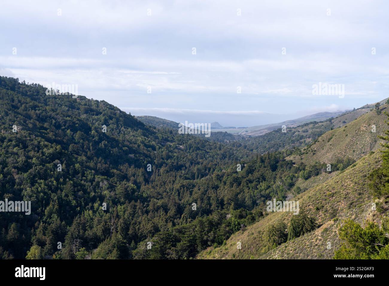 Pfeifer Big Sur State Park Forest Looking Towards the Ocean and Point ...