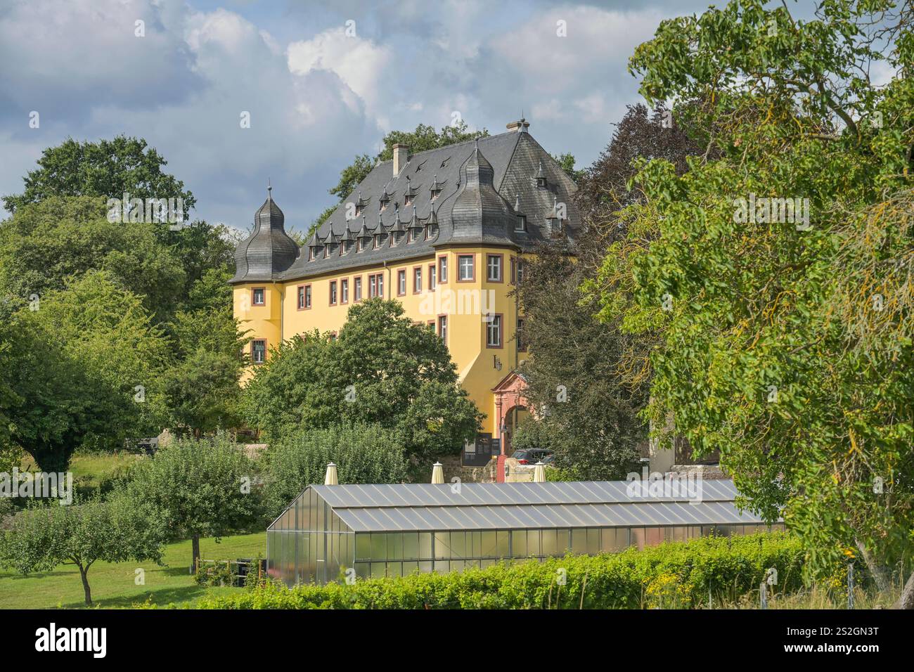 Herrenhaus, Weingut Schloss Vollrads, Oestrich-Winkel, Rheingau-Taunus ...