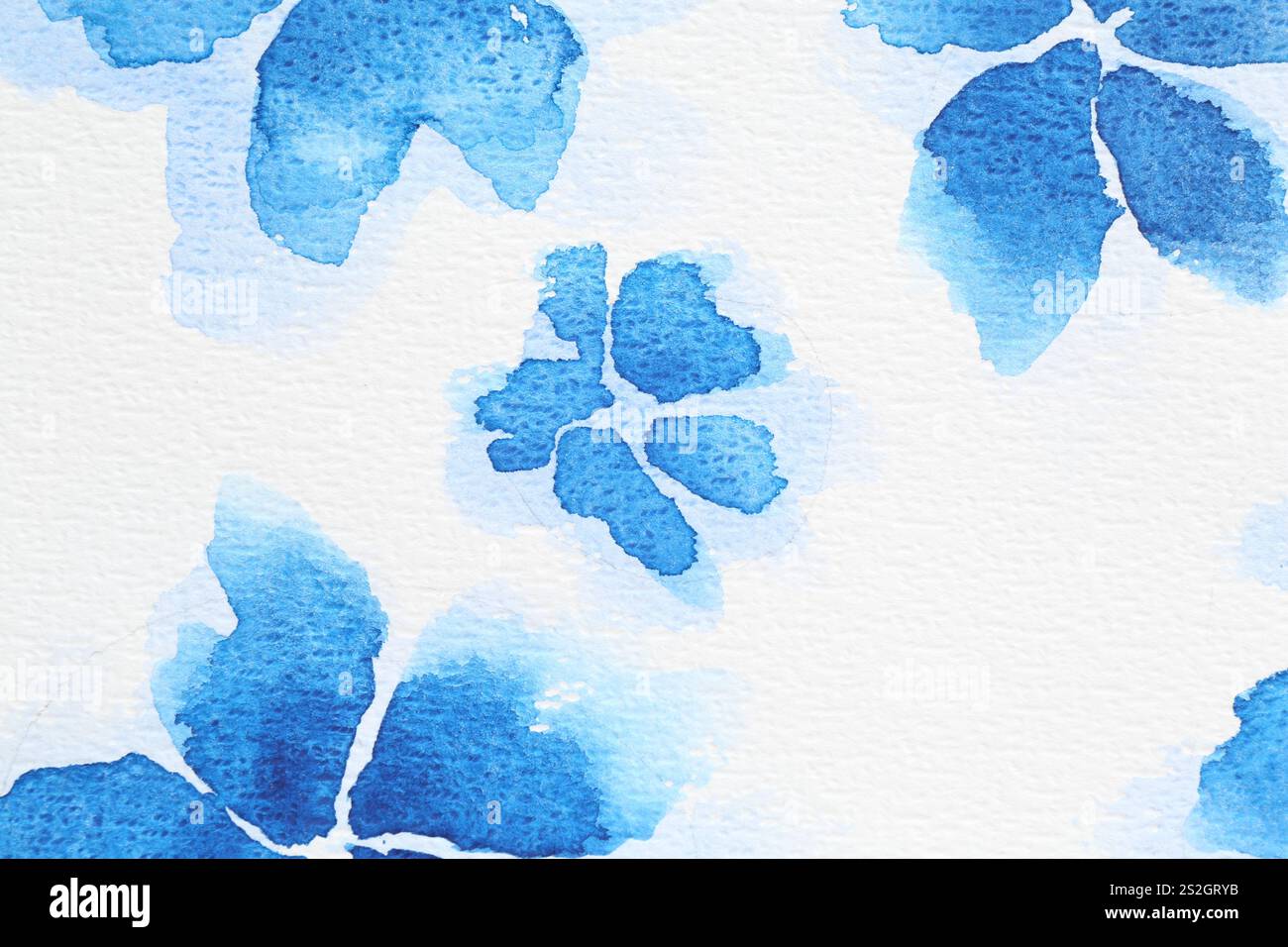 Watercolor painting of blue flowers on white paper, top view Stock ...