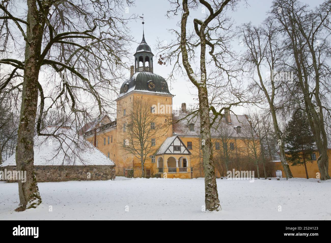 Old trees in front of ancient manor house in winter, Straupe, Latvia ...