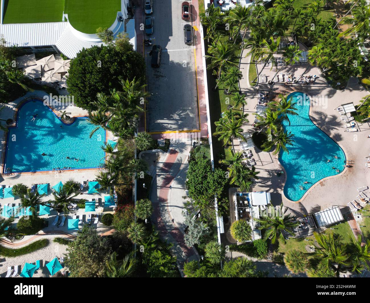 Luxury Hotel resort in Miami beach with swimming pool and palm tree for ...
