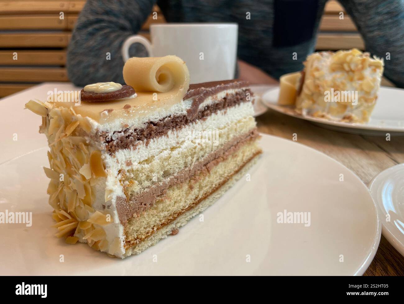 Exquisite culinary pastries and desserts served in a luxurious ...