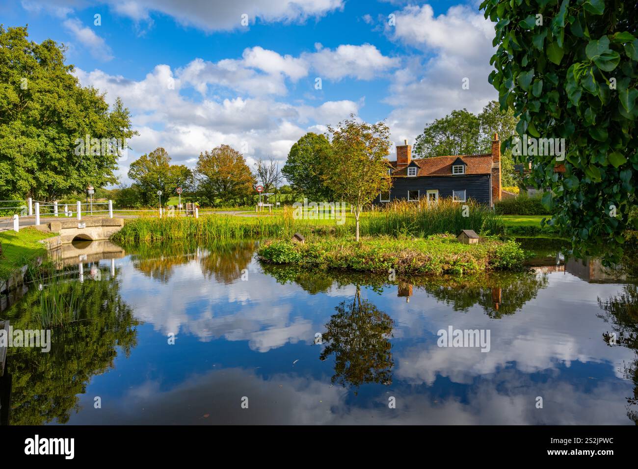 The duck pond Blackmore Essex Stock Photo - Alamy