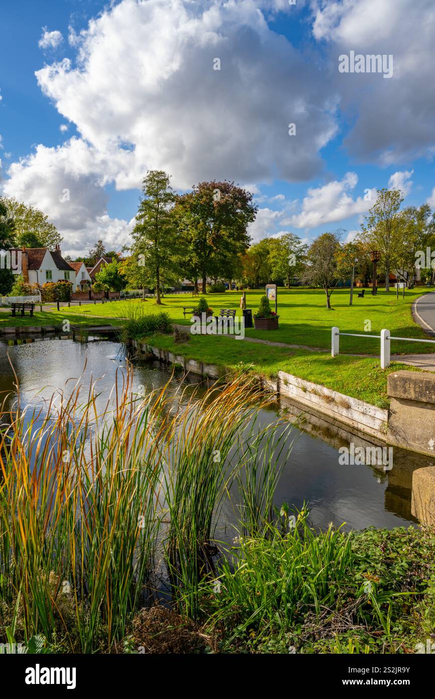 The duck pond Blackmore Essex Stock Photo - Alamy